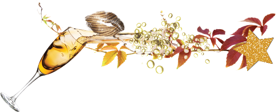 Blonde Highlights Kit | Renew Hair Colour